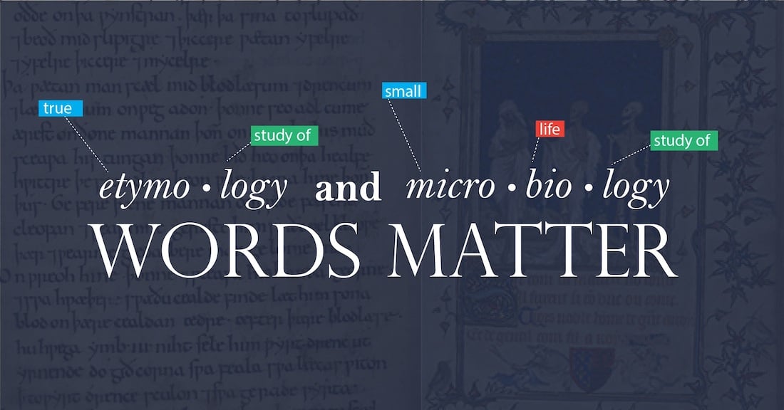 Etymology And Microbiology Words Matter etymology-and-microbiology-words-matter